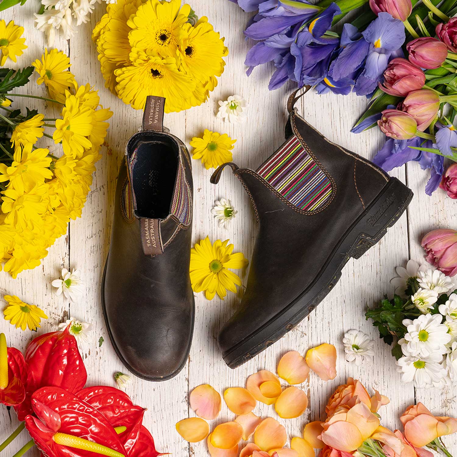Blundstone 1409 - The Originals in Stout Brown Striped Elastic ...